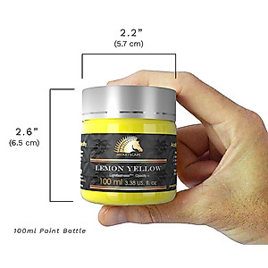 MyArtscape Acrylic Paint Set - 12 x 100ml Bottles - Artist Quality Paints - Lightfast - Heavy Body - Highly Pigmented Colors with Great Coverage - Professional Art Supplies