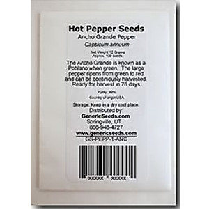 Ancho Grande Hot Pepper Seeds - Capsicum Annuum - 1 Grams - Approx 100 Gardening Seeds - Vegetable Garden Seed