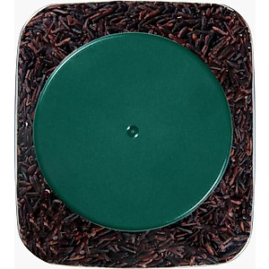 RiceSelect Premium Black Rice, Whole-Grain, Gluten-Free, Non-GMO, and Vegan Rice, BPA-Free 22-Ounce Jar (Pack of 1)