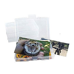 Photo and Craft Keeper – Organize Photos, Jewelry, Electronic Cords, Scrap Paper – 16 Cases Inside 1 Convenient Carrying case – Holds up to 1600 Photos (Clear)