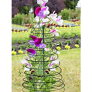Pea Trellis Green Bean Trellis for Garden - 2 Pack Sugar Snap Tower Stretchable to 53.6 in, Metal Climbing Plant Growing Cage Support for Cucumber Vine Indoor Outdoor (Stick Not Include)