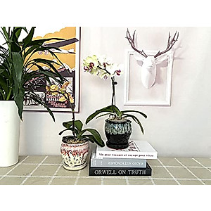 Orchid Pots with Holes 4.33 inch Ceramic Orchid Planter White and Black (Set of 2)