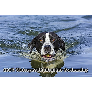 Pet Resolve Remote Dog Training Collar