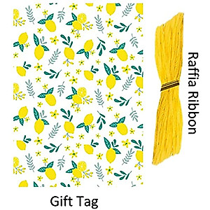 Small Gift Bags With Coordinating Tissue Paper and Gift Tags 5 Count (LEMON)
