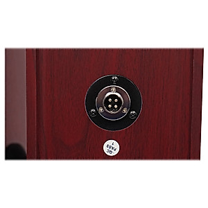 Rockville TM80C Cherry Powered Home Theater Tower Speakers 8" Sub/Bluetooth/USB