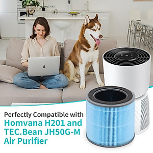 Breabetter 2-Pack H201 True HEPA Replacement Filter Compatible with Homvana H201 Purifier and also compatible with TEC.Bean JH50G-M, 3-in-1 True HEPA Filters