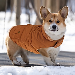 Queenmore Warm Dog Coat, Cold Weather Puffer Dog Coat, Quilting Winter Dog Jacket Ultra Thick Plush Lining with Storage Pockets (Brown, Small)