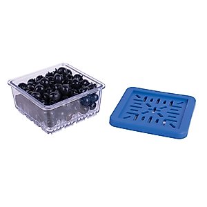 HIC Kitchen BerryFresh Half Pint Produce Box, Blue