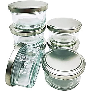 Delove 2.5 oz Small Glass Condiment Containers with Lids - Salad Dressing Container to Go - Dipping Sauce Cups Set - Leak proof Reusable Sauce Containers for Lunch Box - 7pack (Sliver)