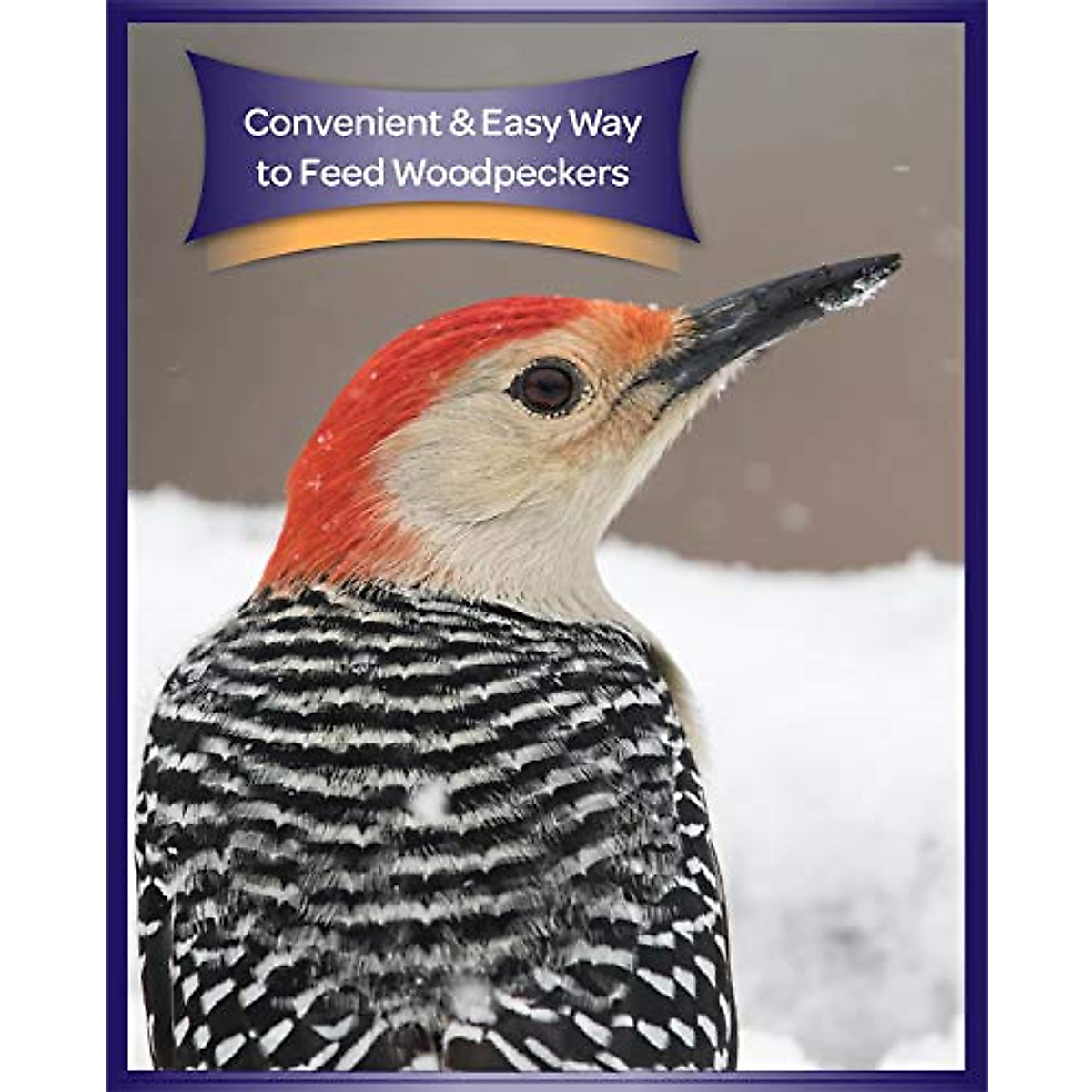 Kaytee Woodpecker Bird Bar 11 oz