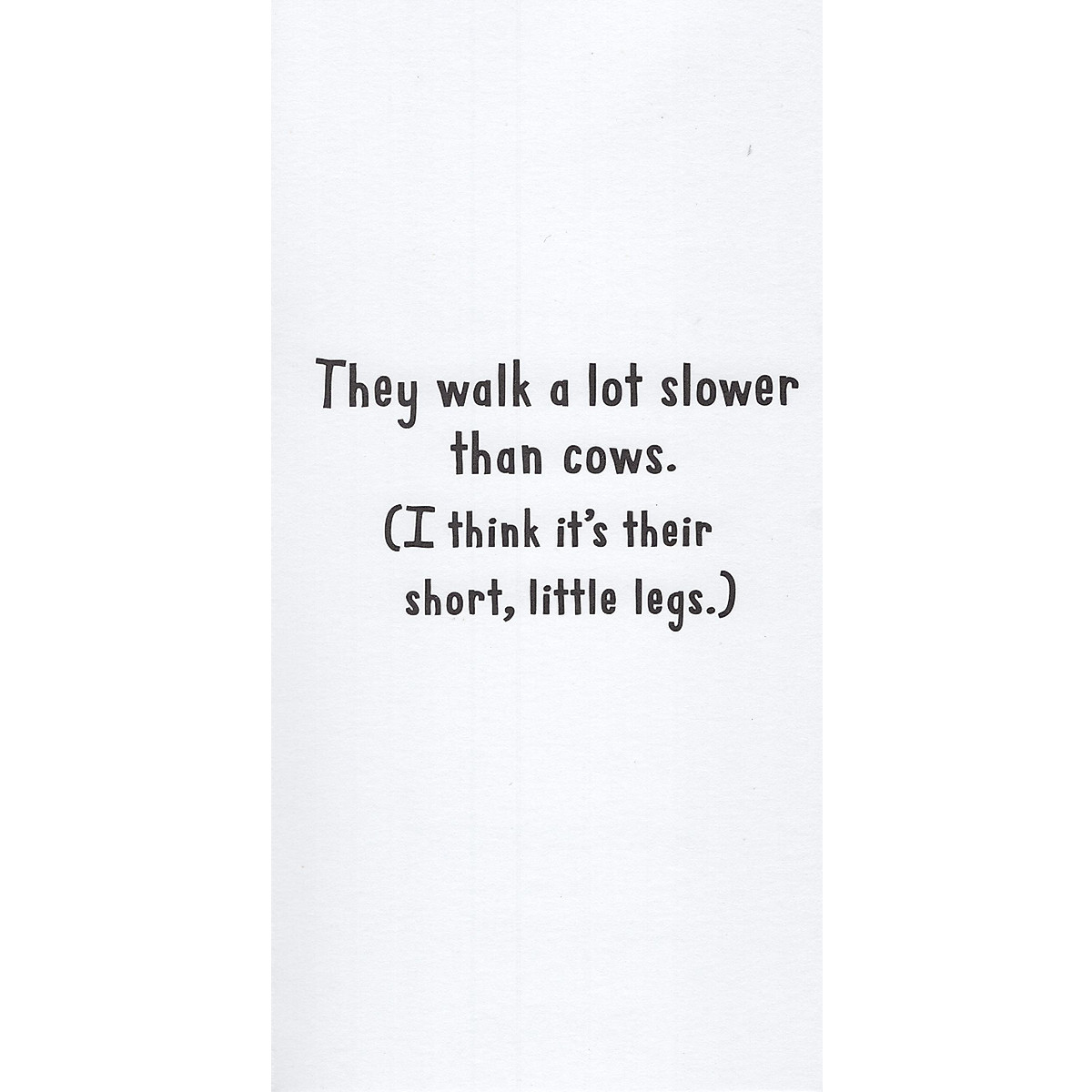 Heartline Funny Pig Themed Happy Birthday Card - It's Your Birthday! Party Until the Pigs Come Home! They Walk a Lot Slower Than Cows. (I Think It's Their Short, Little Legs.)