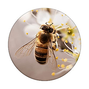 Bee PopSockets Swappable PopGrip
