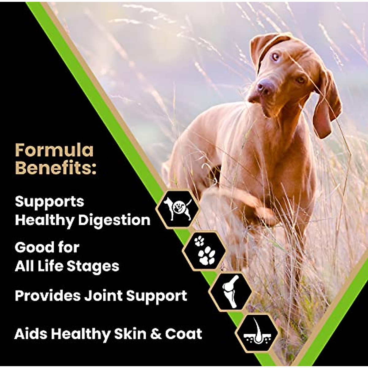 Victor Super Premium Dog Food – Elite Canine Dry Dog Food – 25% Protein, Gluten Free - for Large Breed Dogs & Puppies, 15lbs