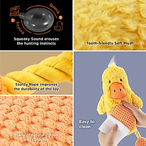 Lesure Plush Squeaky Dog Toys - Indestructible Stuffed Dog Toys for Aggressive Chewers with Tough Rope and Crinkle Paper for Puppies, Small Medium Large Pets, Duck, 1 Pack