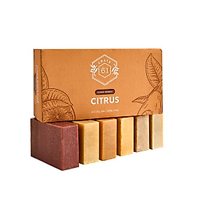 Crate 61 Organics, Handmade in Canada, Plant Based Cold Process Natural Bar Soap, With Premium Essential Oils, Dry Skin, Pack of 6 (Citrus)