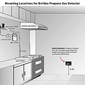 RV Propane Alarm, Briidea Propane Gas Detector with 85dB Loud Alarm, 12 VDC, Black