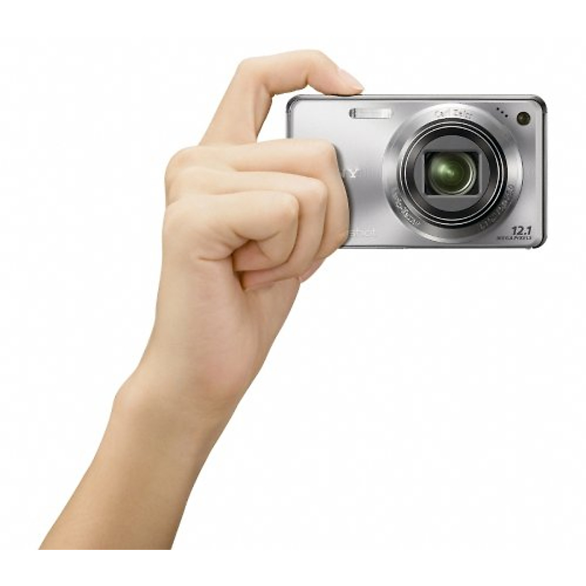 Sony Cyber-shot DSC-W290 12.1 MP Digital Camera with 5x Optical Zoom and Super Steady Shot Image Stabilization (Silver)