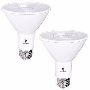 2 Pack PAR30 Outdoor LED Flood Light Bulb 12W 100 Watt Equivalent 900 Lumens Dimmable Waterproof E26 3000K Warm White LED Flood Light Bulbs for Security Spotlight Recessed Bulb