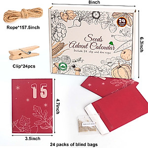 Seeds Christmas Advent Calendar 2024 for Women Adult, Hanging Decor Xmas Countdown Calendar for Garden Alike,Unique Christmas Countdown for Dad Mom Kids Family