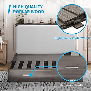 Mjkone Queen Murphy Bed with USB Charging Station | Modern Cabinet Bed with Tri-Folding Mattress | Hide-Away Bed with 2 Drawers for Bedroom | Guest Room | Office (Grey Pattern XI)