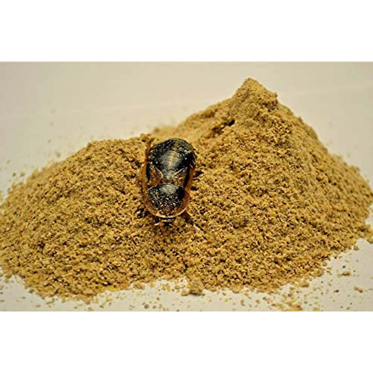 Premium Roach/Cricket Chow and Water Crystal Combos by Five-Star Feeders (1/2 lb. Roach Chow and 1 oz. Water Crystals)