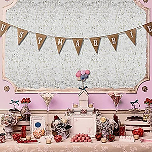 Flower Wall Panels Backdrop Décor: Blosmon White Artificial Floral Backdrop for Wedding Party Baby Bridal Shower, 12 Pcs Hanging 3D Fake Hydrangea Wall Decoration, Silk Faux Hydrangea Flower