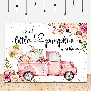 Lofaris Little Pumpkin Girl Baby Shower Photography Backdrops Props Fall Autumn Pink Floral Princess Baby Shower Party Decoration Car Gold Balloon Flowers Photo Studio Booth Background Banner 7x5ft