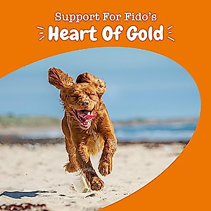 Zesty Paws Cardiovascular Soft Chews for Dogs - with Antioxidants and AlaskOmega Fish Oil with Omega 3 Fatty Acids - Plus CoQ10, Taurine & L Carnitine for Dog Heart Health - 90 Count