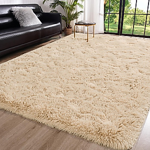 Toneed Fluffy Area Rug for Bedroom Living Room, 6 x 9 Feet Beige Shaggy Rug Super Soft Modern Indoor Rug Fuzzy Plush Carpet for Dorm Nursery Kids Room Home Decorative