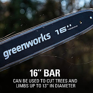 Greenworks 40V 16-inch Brushless Chainsaw, Tool Only, CS40L02