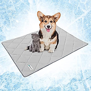 PetAmi Premium Cooling Dog Blanket | Lightweight Fluffy Pet Throw Blanket Bed Cover for Dogs, Cat, Puppies | Pet Blanket Furniture Protector Couch Sofa | Reversible Fuzzy Cozy | 29x40, Light Grey