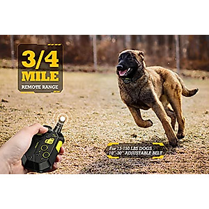 PATPET Shock Collar for Medium Large Dog(15-150lbs) - 3/4 Mile Range E Collar, Dog Training Collar with Remote