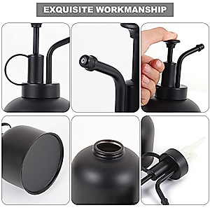 Plant Mister Spray Bottle, Metal Stainless Steel Plant Sprayer Mister, Small Watering Can Plant Spritzer with Top Pump for Indoor House Air Plants Succulents Outdoor Garden Decorative(Matte Black)