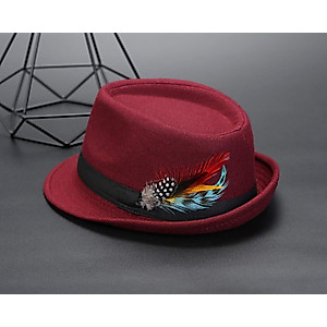 FALETO Hat Feathers 12 Pcs Assorted Natural Feather Packs Accessories for Hats & Fedoras