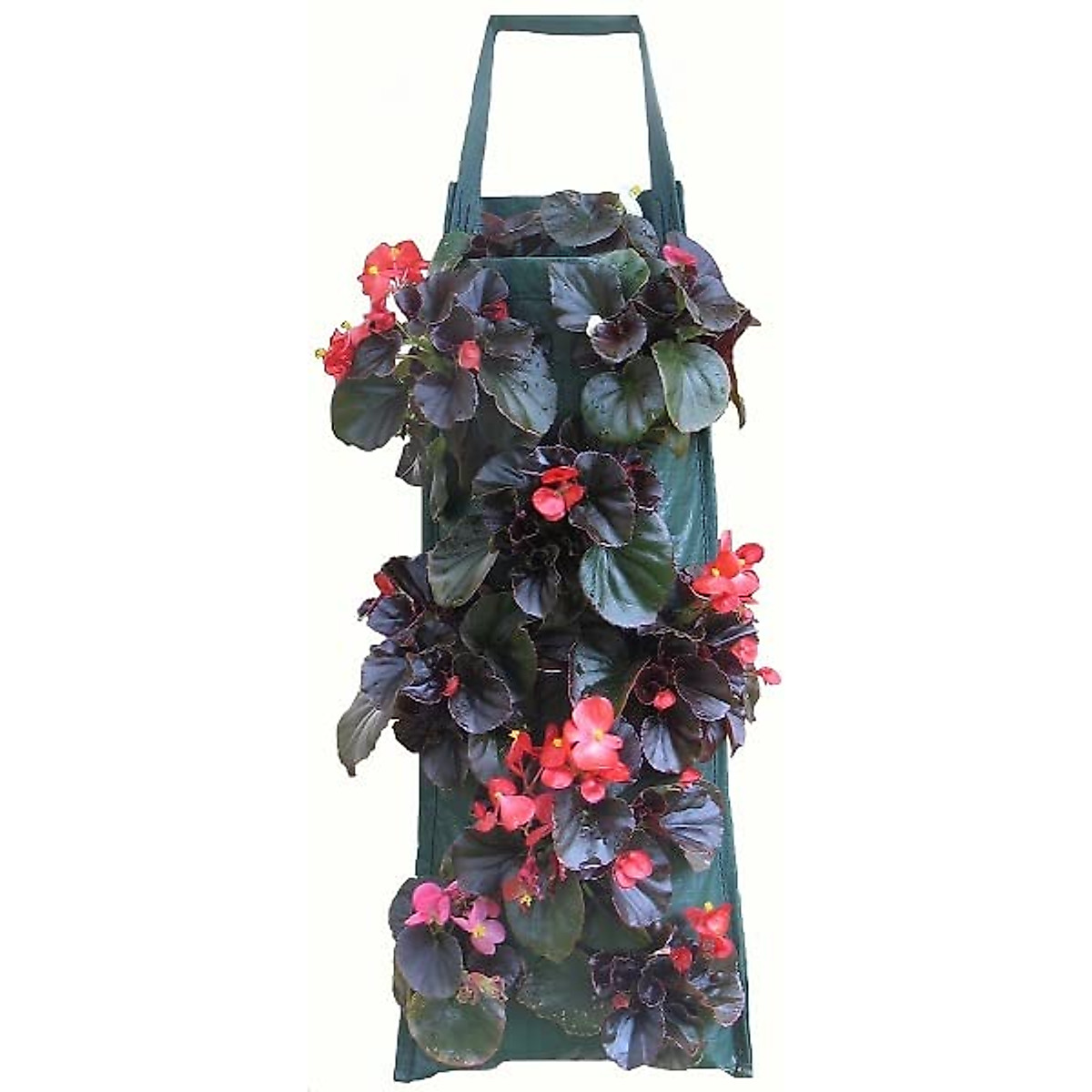 Nutley's Hanging Strawberry Growbag Planter (Pack of 2)