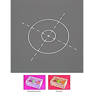 Lightdow 12 x 12 Inch (30 x 30 cm) White Balance 18% Gray Reference Reflector Grey Card with Carry Bag [Folded Version]