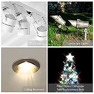 Simba Lighting 10 Watt 12 Volt MR11 Halogen Spotlight Bulbs (2 Pack) 2-Pin 110lm 30° Beam Angle for Accent, Track Light, and Fiber Optics, GU4 Bi-Pin Base, Glass Cover, Warm White 2700K Dimmable