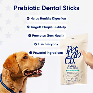 PetLab Co. – Total Teeth Care Bundle: Dental Powder for an Effortless Deep Clean in 1 Scoop for Large Dogs & Dental Chews - Target Dirt & Tartar Build-Up - Easy to Use