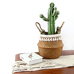 BlueMake Boho Woven Seagrass Belly Basket for Storage Plant Basket or Toy Basket Living Bathroom (Large, Beige)