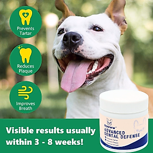 Baaww Dog Dental Powder - Dog Teeth Cleaning Made Easy – Plaque & Bad Breath - Formulated for All Dogs 2.82OZ 80 Gram Pack