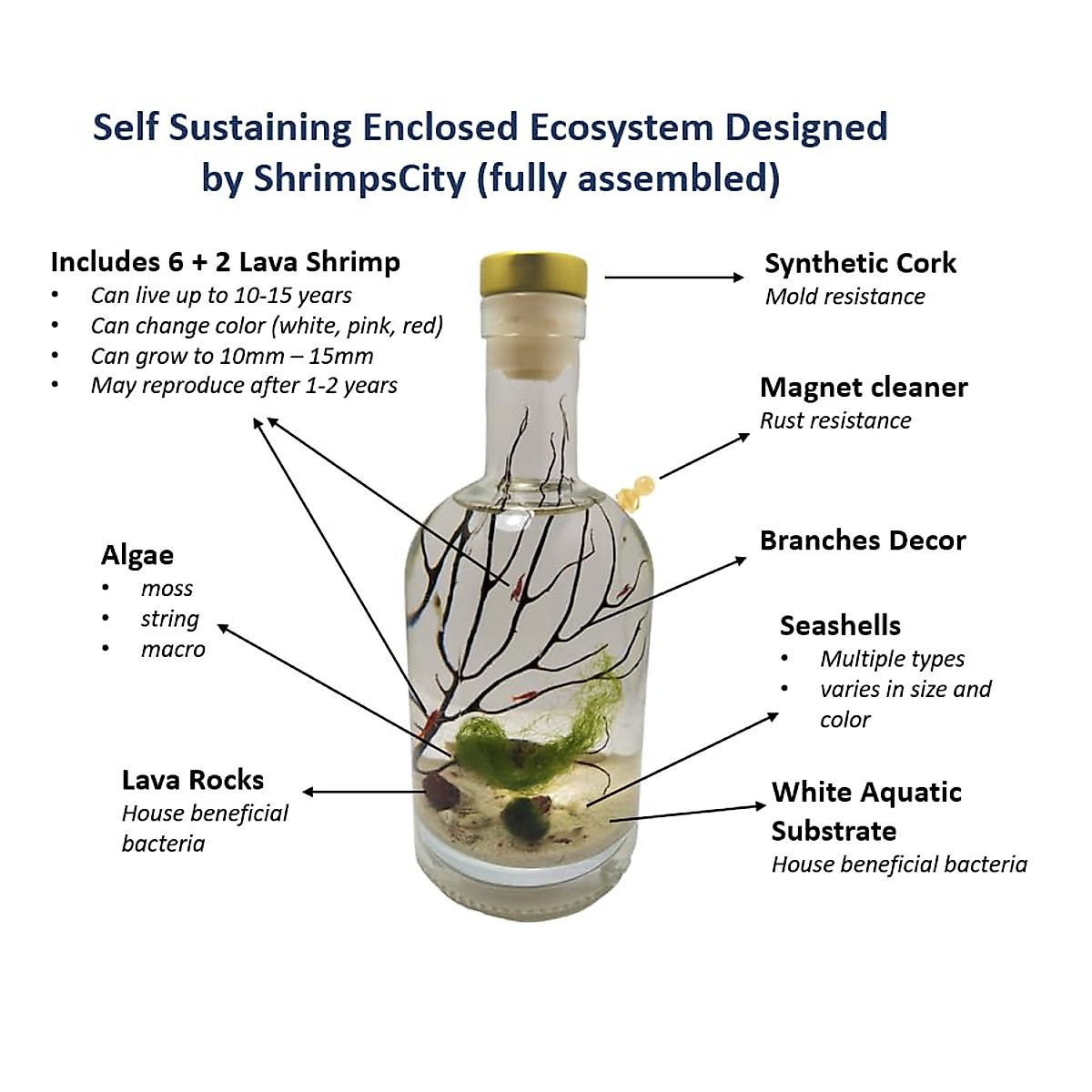 Enclosed Ecosystem Shrimps Bottle