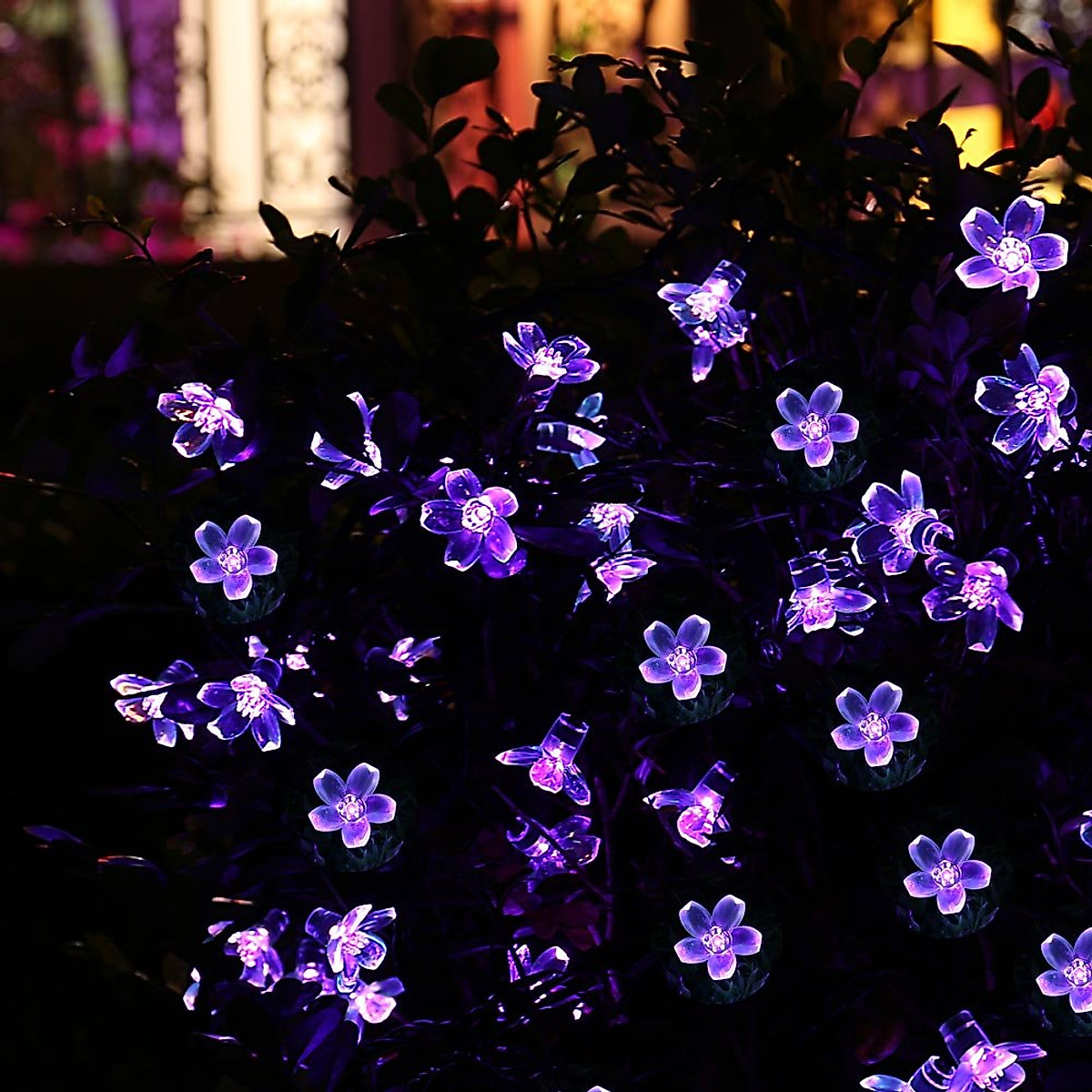 Qedertek Solar String Lights, Cherry Blossom 22ft 50 LED Waterproof Flower Outdoor String Lights for Patio,Lawn,Garden,Holiday,Halloween Solar Lights,and Festivals Decorations (Purple)