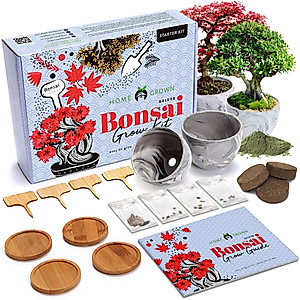 Premium Bonsai Tree and Deluxe Succulent & Cactus Seed Starter Kit - Includes a Grow Guide