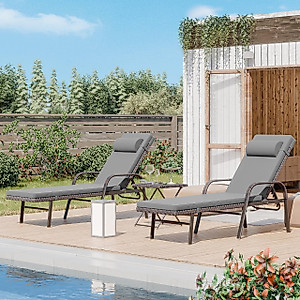 Knnbxa 3 Pieces Outdoor Chaise Lounge Set Rattan Wicker Pool Lounge Chair w/Adjustable Backrest,Patio Armrest Chairs Recliner for Porch Beach,Grey