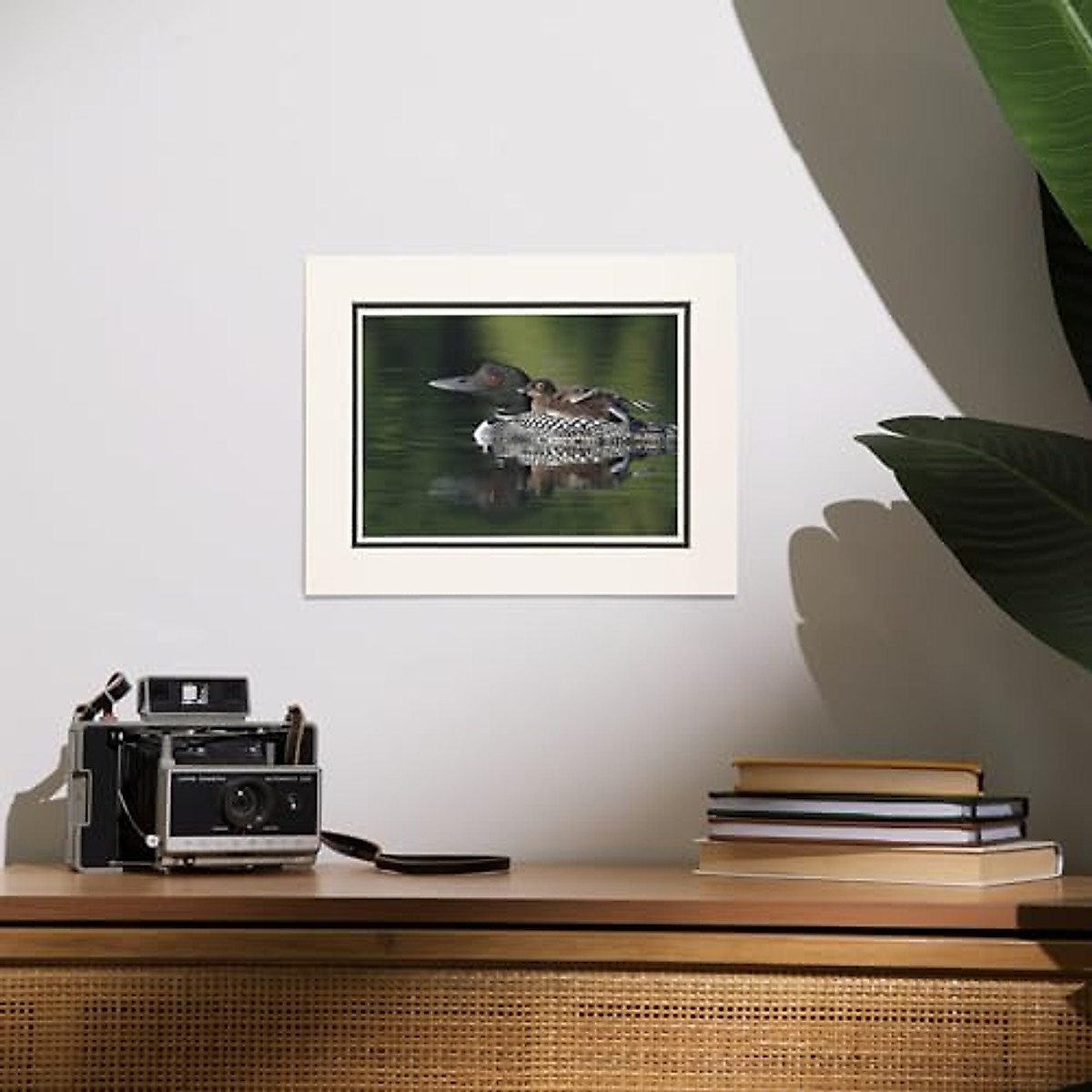 Lantern Press 11x14 Inch Matted Art Print Wall Decor, Loon and Chick