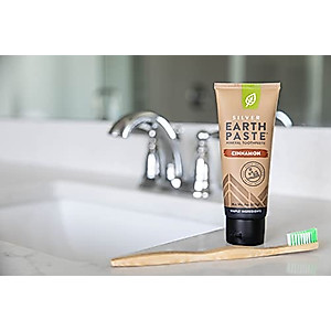 Redmond Earthpaste with Silver - Natural Non-Fluoride Toothpaste, 4 Ounce Tube (Cinnamon) (Cinnamon, 2 Pack)