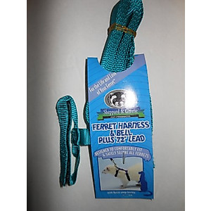Sheppard & Greene Ferret Harness & Bell Plus 72 Inch Lead (Teal)
