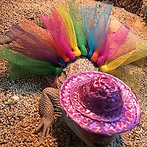 Ipetboom Bearded Dragon Costume Bearded Dragon Hat for Lizards Bearded Dragon Tutu Skirt Reptile Mini Deck Chair Small Pet Costume Outfits Clothes Photo Props for Lizards Geckos Hamsters Rats