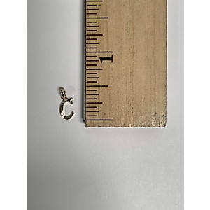 Dainty 10k Real Solid Gold Initial Charm Pendant Available in Other Letters, Alphabet Letter Jewelry Small in Size (C)