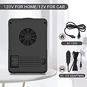 Living Enrichment Mini Fridge 4 Liter Skincare Fridge, AC 120V DC 12V Portable Small Refrigerator Cooler and Warmer for Skincare, Medications, Bedroom, Travel and Car - Black